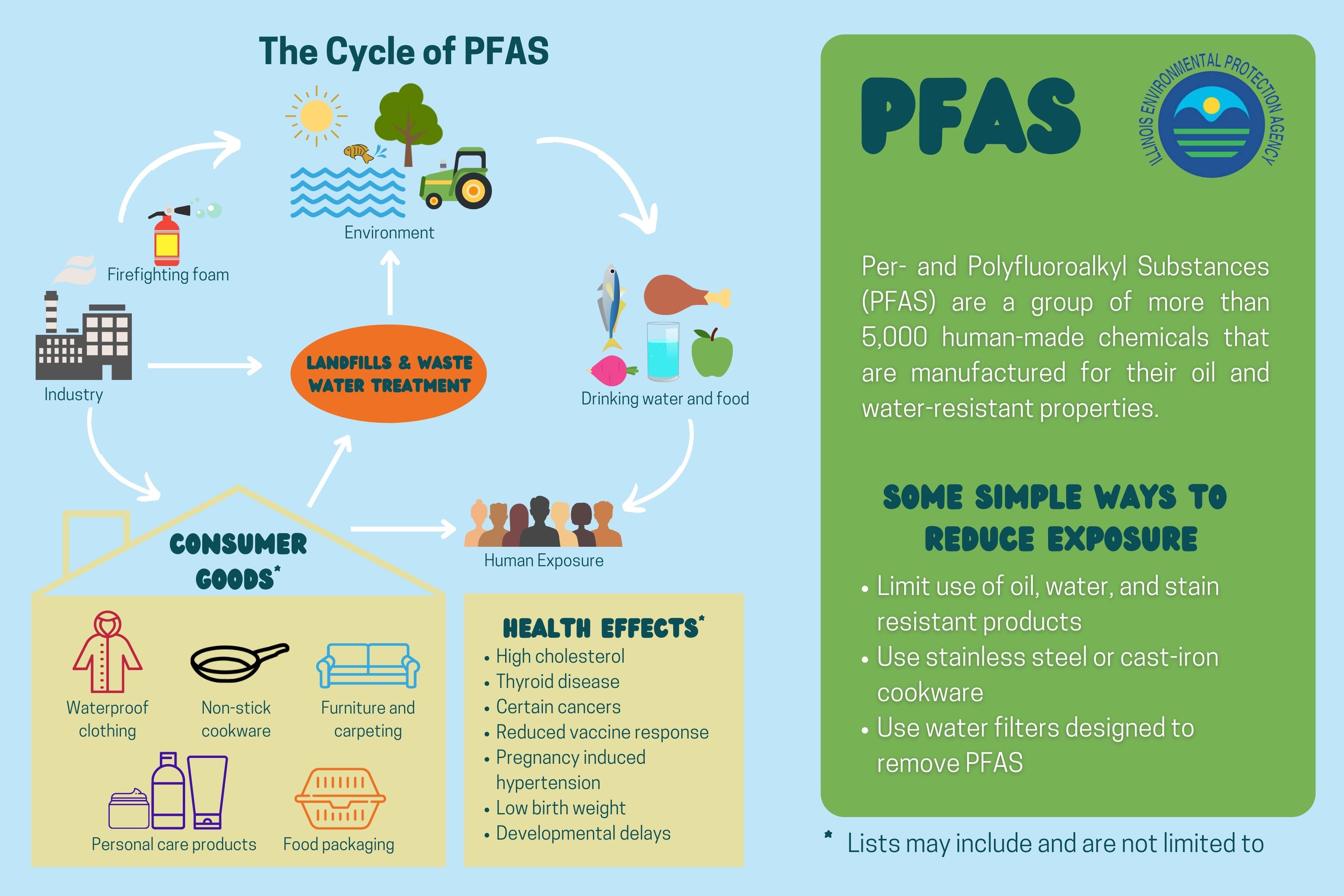 10 TIPS TO AVOID PFAS – Wecologist